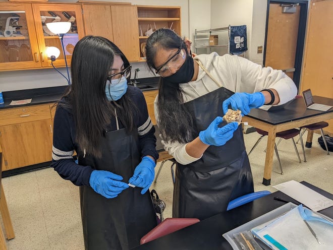 How NAF prepares students for a future beyond the classroom - NAF